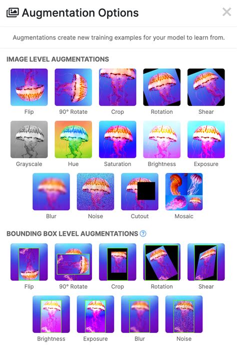 Generate Image Augmentations With Roboflow