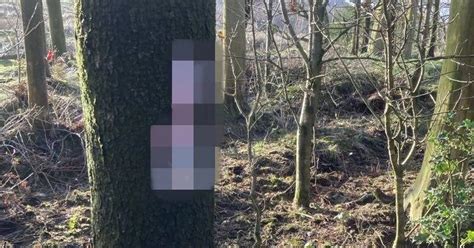 Couple Enjoying A Walk In The Woods Stop To Find Sex Pictures Stuck To A Tree Manchester