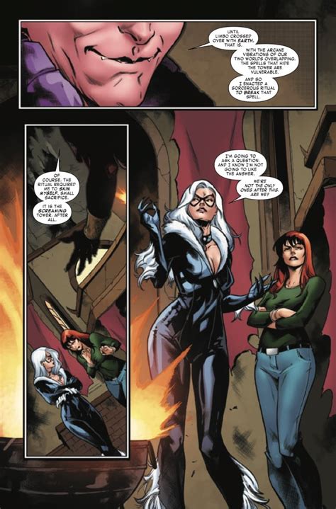 Mary Jane And Black Cat 2 Preview To Steal A Soulsword