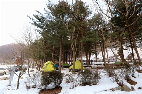국립자연휴양림 예약정보 유명산자연휴양림 제1야영장 데크리뷰 네이버 블로그