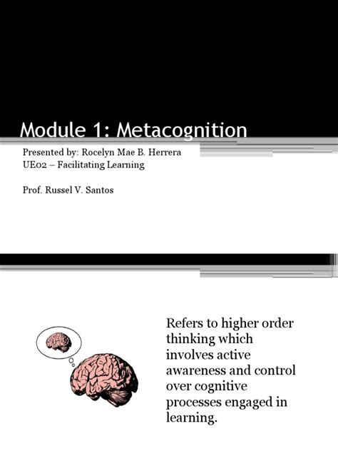 metacognition pdf metacognition learning