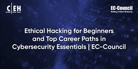 Ethical Hacking Course For Beginners Essential Techniques And Fundamentals