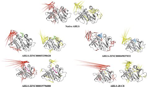 Essential Dynamics Analysis Of Ahls And Its Ligand Bound Complexes The Download Scientific