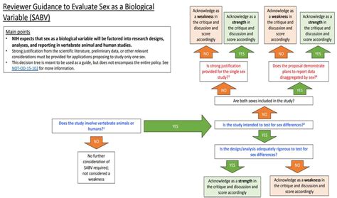 The Promises And Pitfalls Of Sex Difference Research PMC