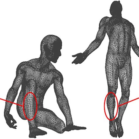 Comparison Between The 3d Meshes With Isometric Deformations Download Scientific Diagram