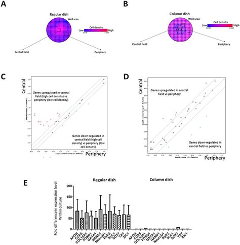 Lineage Commitment And Stem Cell Differentiation Related Gene