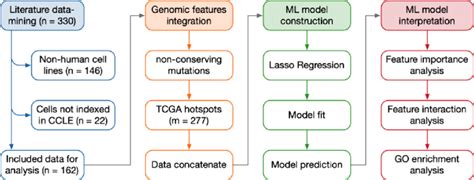 Pipeline For Literature Data Mining Genomic Feature Integration Ml