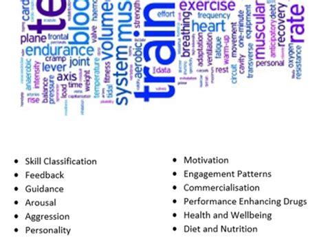 AQA GCSE PE Paper 2 Work Sheets Teaching Resources