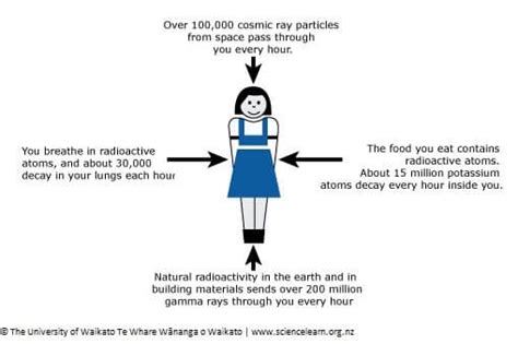 Radiocarbon Calibration Curves — Science Learning Hub