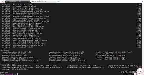 Oracle 19c Rac 集群的安装（详细图文过程）oracle19crac安装部署 Csdn博客