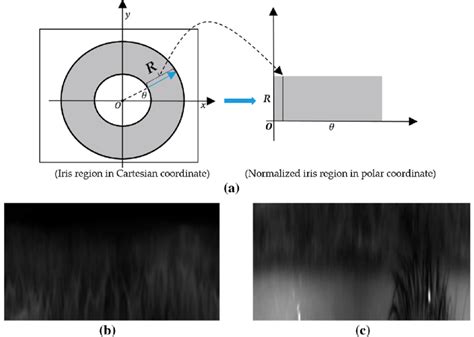 Linear Sampling Process Download Scientific Diagram