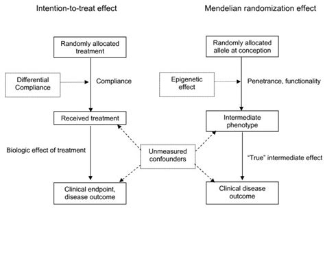 Conceptual Analogies Between A Randomized Controlled Trial Left Graph Download Scientific