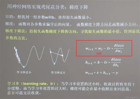 跟着北京大学教授学习tensorflow20 Csdn博客