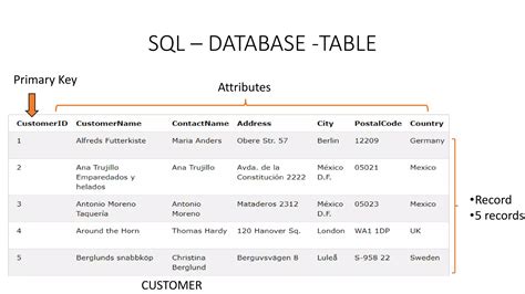 Sql Data Types And Constarintspptx