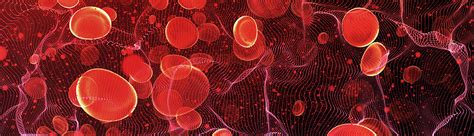 Immunophenotyping By Flow Cytometry Biocompare The Buyers Guide For Life Scientists