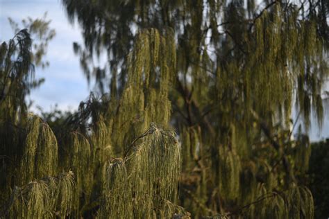 Jake Mckinnon Photography Jake Mckinnon Photography