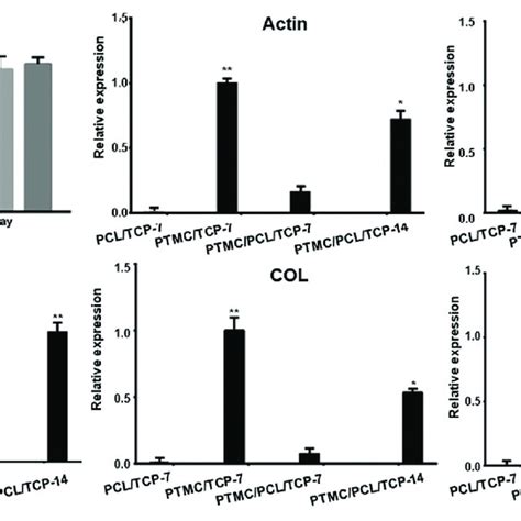 Gene Expression Assays On Rbmscs In Poly ε Caprolactone Download Scientific Diagram