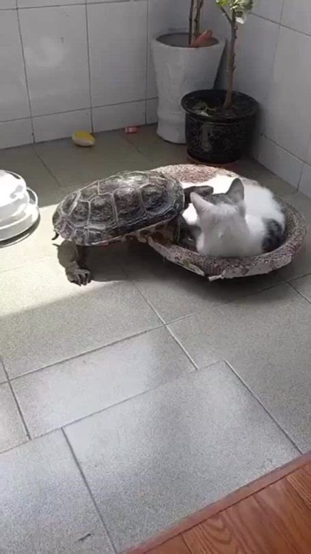 I M Just Gonna Squeeze In Here Source Tumbex