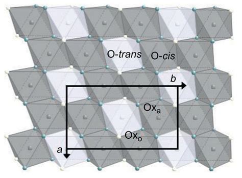The Octahedral Sheet O Trans Trans Oriented Octahedra O Cis Download Scientific Diagram