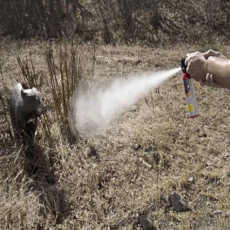 How Does Bear Spray Work Defense Gears