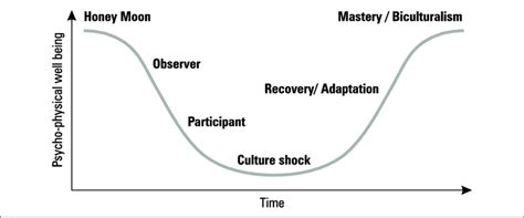 Culture Shock Stages