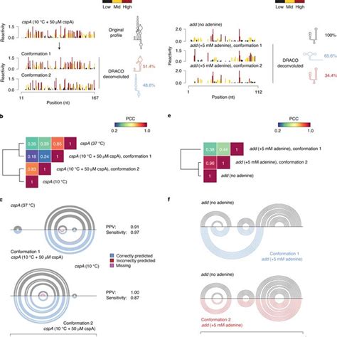 In Vitro Validation Of Draco A Original Dms Mapseq Profile And Download Scientific Diagram