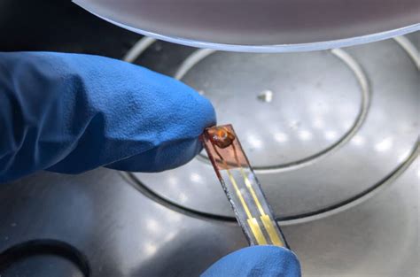 Recyclable Artificial Vision System Uses Honey As An Electrolyte