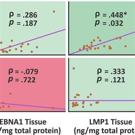 Scatterplot Showing Correlation Between Cd4 Cd8 And Foxp3