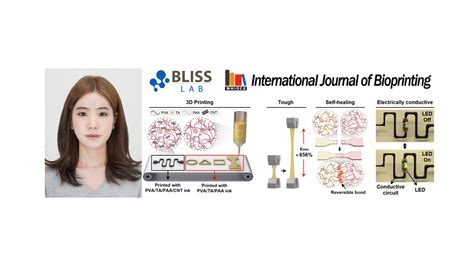 Bliss 김수아 학생 International Journal Of Bioprinting에 논문 게재 Bliss