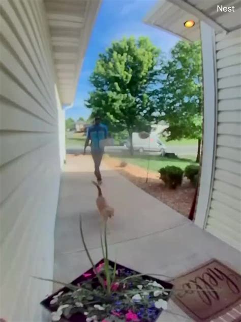 I Take From Here Advance Payment Please Thank You Cat  On Imgur