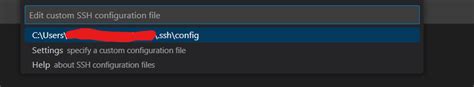 CSE462 562 Database Systems Fall 2024 VSCode Setup