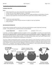 Lab 5 Enzymes Pdf BIOL160 Lab 5 Enzymes Page 1 Of 11 This Lab Will Be Conducted Over Two