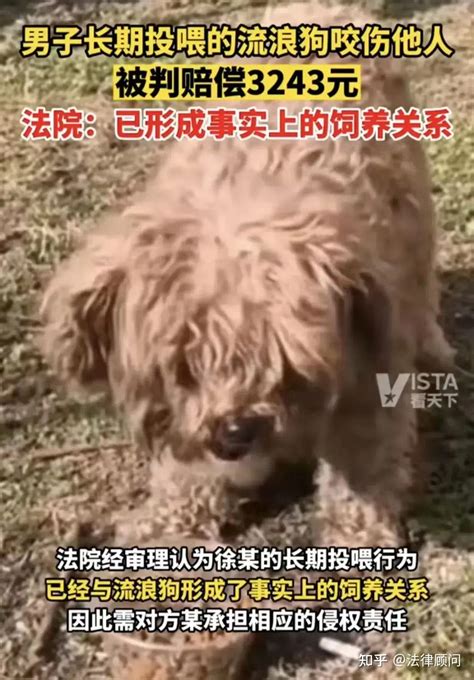 流浪狗咬伤人长期饲养者被判承担责任 知乎