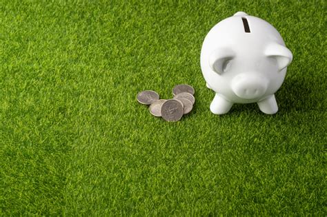 분기 동전 잔디 배경에 돼지 저금통 비용 절감 개념 저장 위에서 보기 개념에 대한 스톡 사진 및 기타 이미지 개념 경제