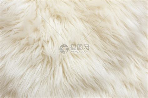 毛茸茸的地毯高清图片下载 正版图片600307639 摄图网