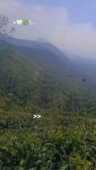 ජීවිතේ සරල පුංචි දේවල් රසවිඳින්න 🖤 Youtube