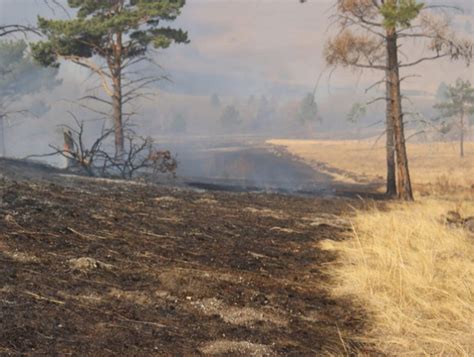 Сэлэнгэ аймгийн Ерөө суманд гарсан ойн түймрийг унтраахаар ажиллаж байна