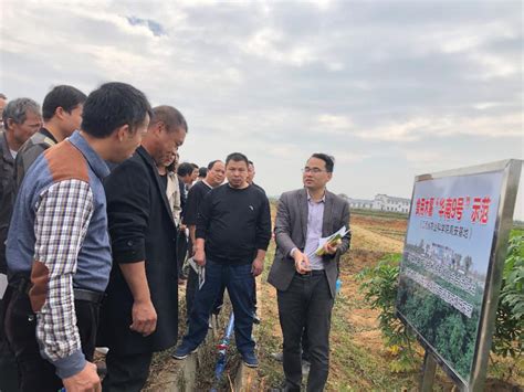 南昌站开展木薯粮饲化利用现场培训观摩会 新闻动态 国家木薯产业技术体系信息平台