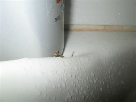 Sorry For The Interruption But Do You Have 15 Minutes To Talk About