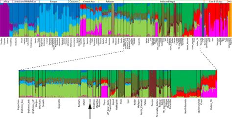 The Admixture Plot At K 12 Showing The Ancestry Components Sharing Of Download Scientific