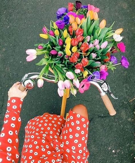 ყვავილების მოყვარულთათვის ფიკუსი ერთ ერთი ყველაზე სასარგებლო და უპრეტენზიო ოთახის მცენარეა