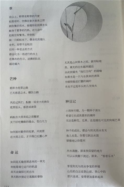 获奖快讯我校文化与管理学院学子在全国青年文学创作大赛中荣获一等奖 天津传媒学院 天传院系