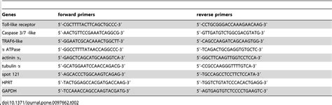 Primers Used To Quantify Gene Expression In Suberites Domuncula Using Download Table