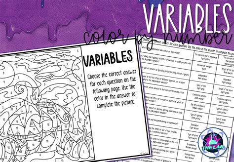 Variables Review Activity Halloween Colour By Number Teaching