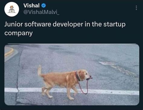 Muhammad Zain 🇵🇸 Posted On Linkedin