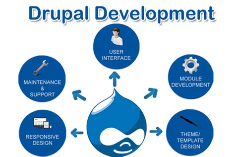 affordable drupal development services drupal development company