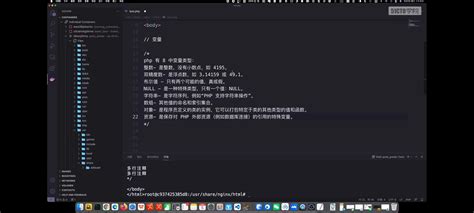php标签 注释 html混写 变量 csdn博客