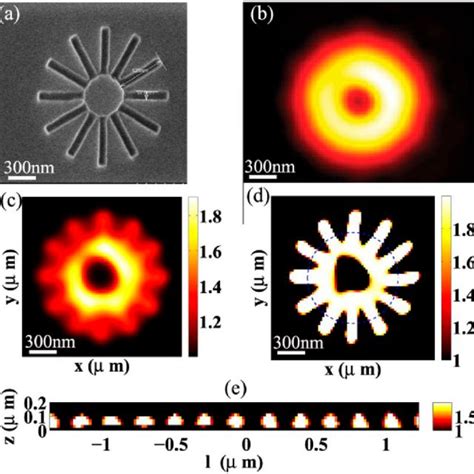 Schemas Of The Wide Field Microscopy And Tomographic Diffractive Download Scientific Diagram