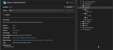 Nuget Visual Studio Package Manager Not Installing The Files To