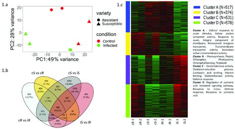A Principal Component Analysis Of Samples From Transcriptome Download Scientific Diagram
